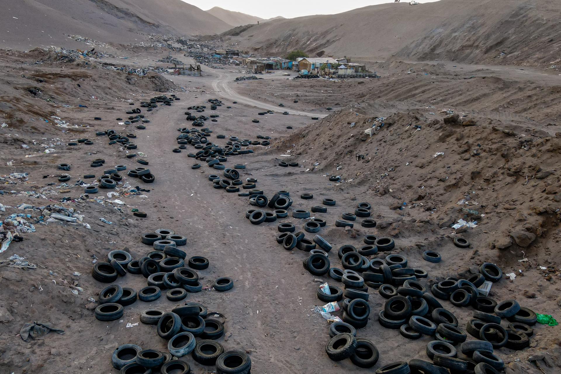 El desierto de Atacama, Chile, se encuentra cubierto de miles de ...